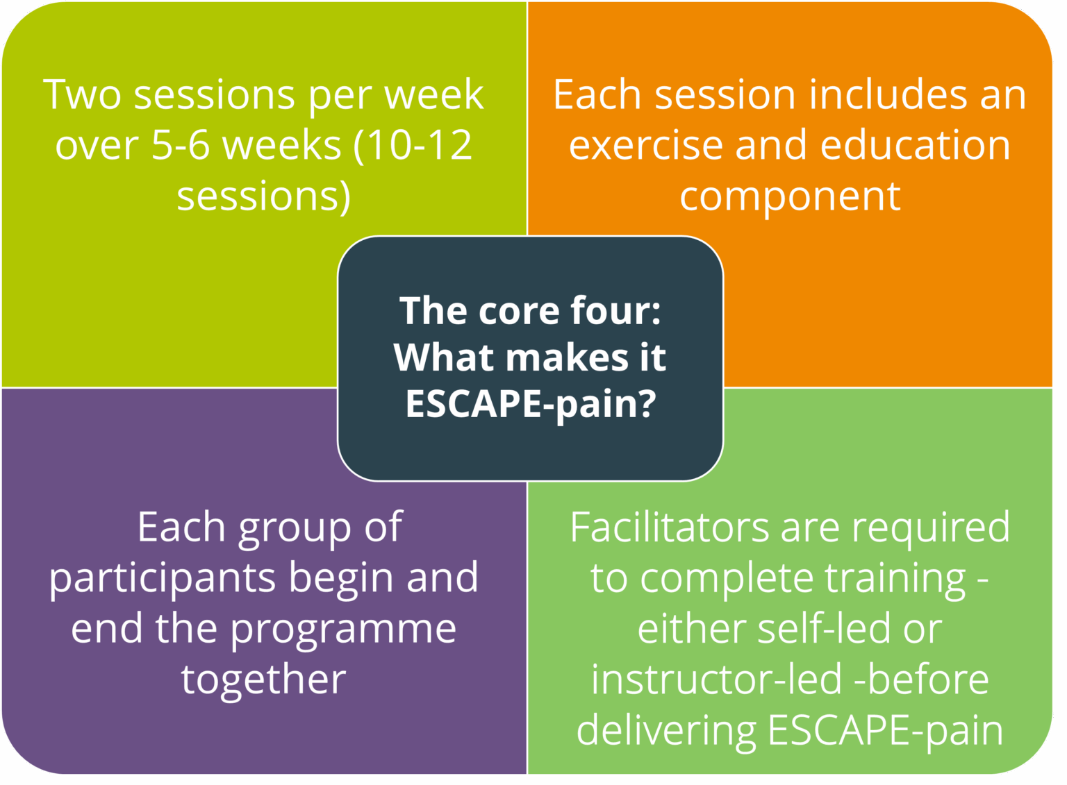 About us – ESCAPE-pain