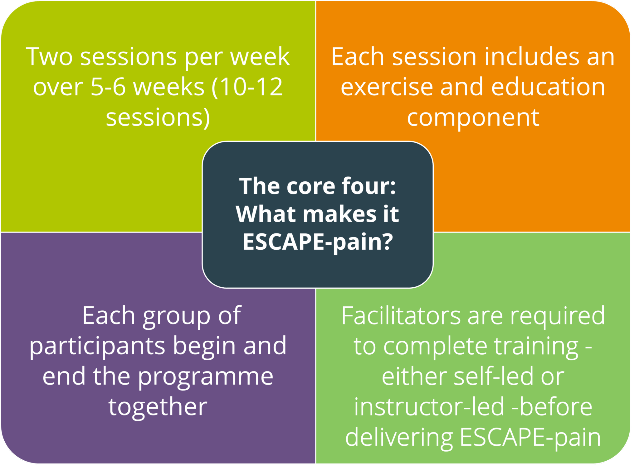 About us – ESCAPE-pain